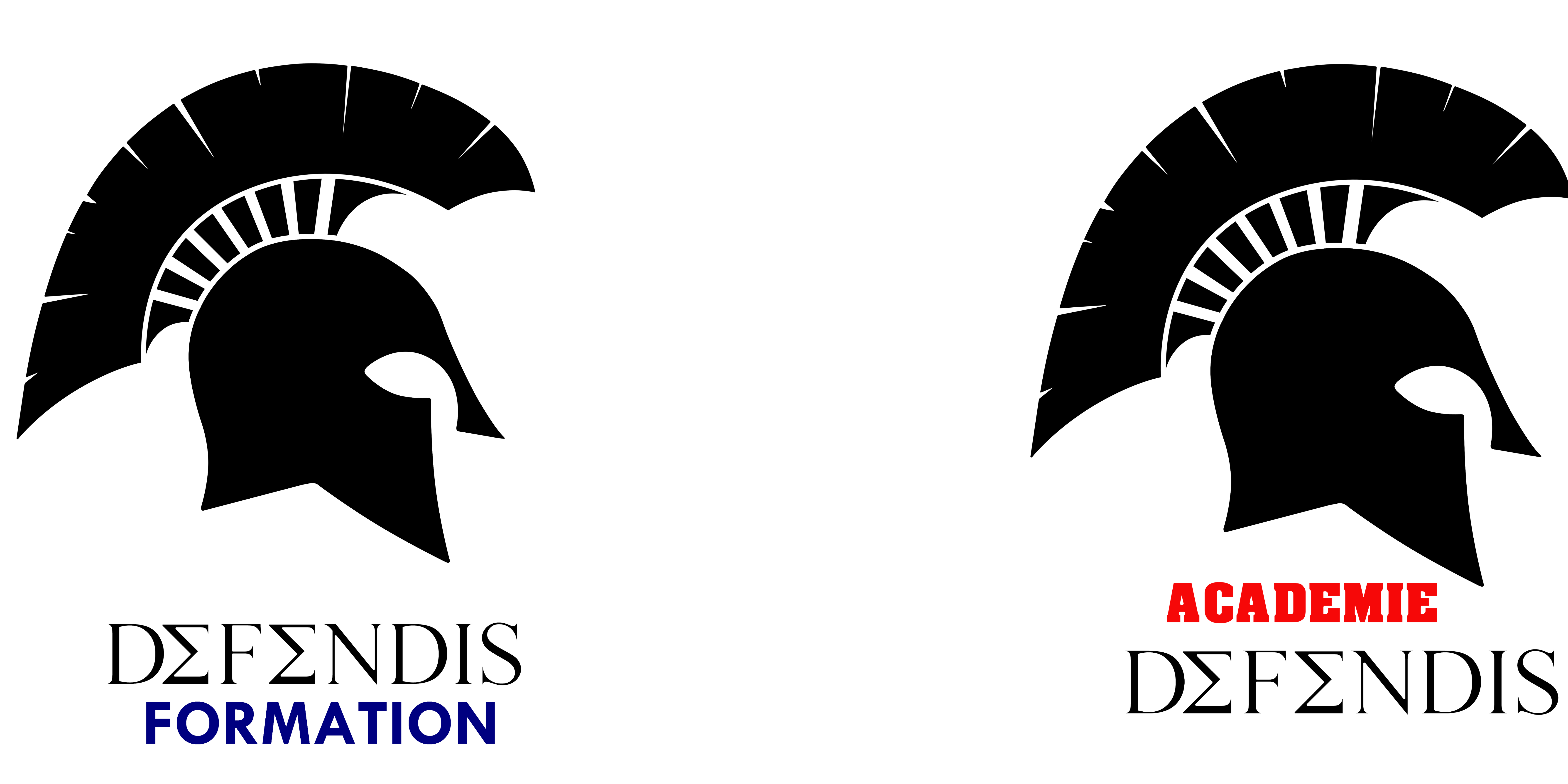 Contact – DEFENDIS